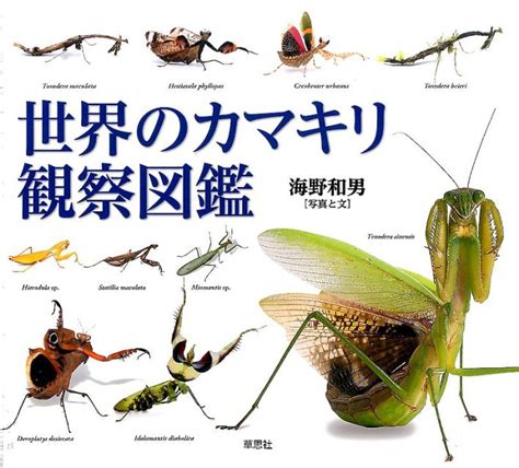楽天ブックス 世界のカマキリ観察図鑑 海野和男 9784794221377 本