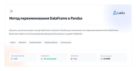 Переименование Dataframe в Pandas Обработка данных Labex