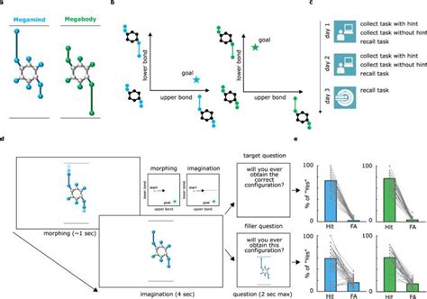 Mental Search Of Concepts Is Supported By Egocentric Vector