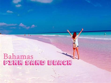 허니문추천 바하마 엘류세라 하버아일랜드 핑크샌드비치 Pink Sand Beach 네이버 블로그