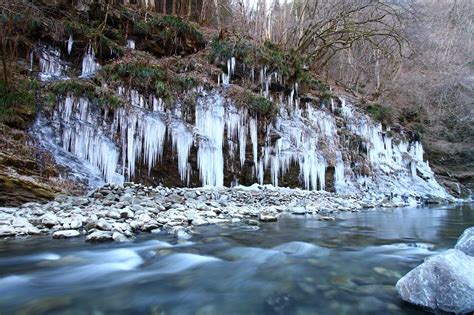 秩父三大氷柱三十槌みそつちの氷柱つらら情報 柳屋旅館