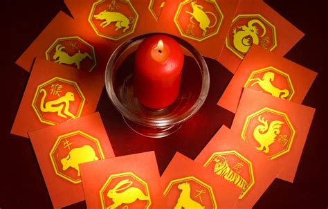 Chinese Zodiac Signs And Meanings On Whats Your