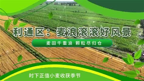 乡村振兴看宁夏 新华网宁夏频道