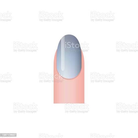 손톱 에 네일 매니큐어 를 디자인 사실적 벡터 일러스트 고립 네일아트에 대한 스톡 벡터 아트 및 기타 이미지 네일아트 그라데이션 그래픽 프린트 Istock