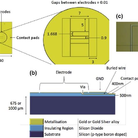 Dimensions Of The PCB Chip The Real PCB Chip Is Shown In Fig Download Scientific Diagram