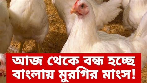 আজ থেকে অনি্দিষ্টকালের জন্য বন্ধ বাংলায় মুরগির মাংস পোল্ট্রির মাংস বন্ধ বয়লার মুরগির মাংস