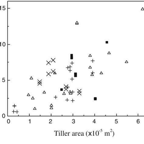 Interference Contrast Picture Of The Rootshoot Transition Zone Taken