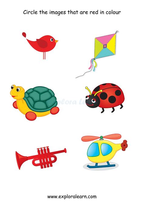 Colour Identification