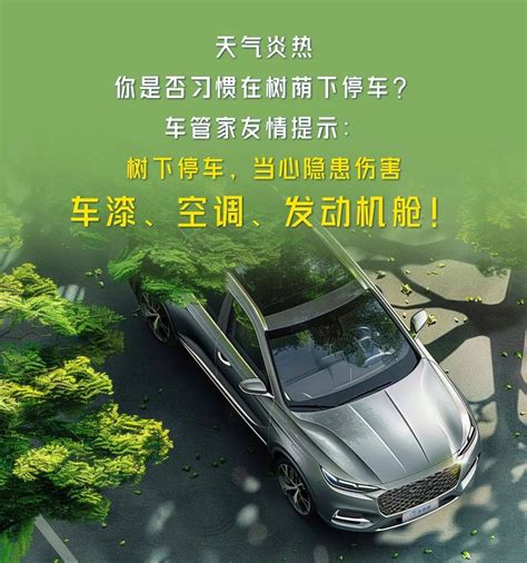 树下停车图阴凉？小心伤到车漆、空调、发动机舱！搜狐汽车搜狐网