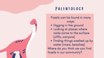 Fossils Slides Presentation By Melissa MacRunnel TPT