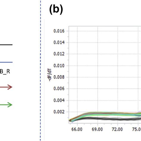 A Design Of The Multiplex Allele Specific Pcr For The Detection Of Download Scientific