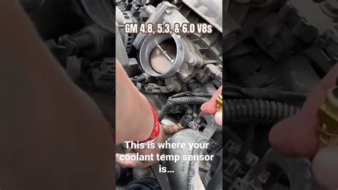 Coolant Temperature Sensor Location 2000 Chevy Blazer At Robert Guajardo Blog