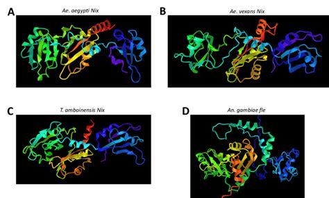 A D Alphafold2 Structure Predictions Images From Ncbi Icn3d Viewer