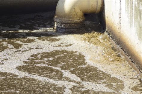 Municipality Admits Sewage Treatment Plant Not Doing Its Job‚ Cites