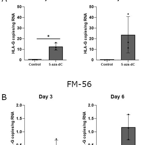 Schematic Structure Of HLA Class I And Class II Molecules Download Scientific Diagram