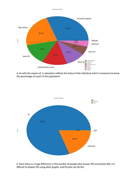 Data Preparation Report Pdf