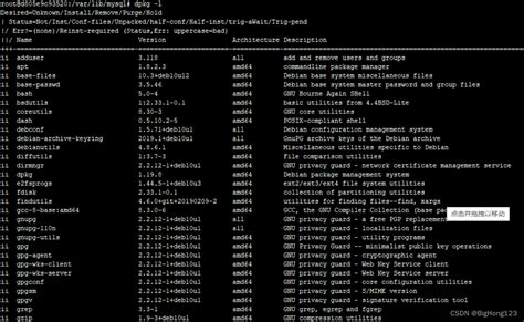 mysql镜像：版本信息、apt get与dpkg命令详解 csdn博客