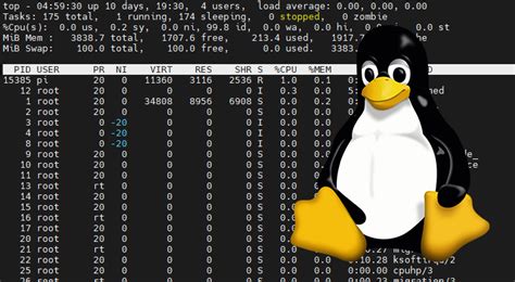 Using The Top Command On Linux Pi My Life Up