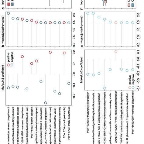 Significant Enrichment Of Microbial Metacyc Pathways Based On