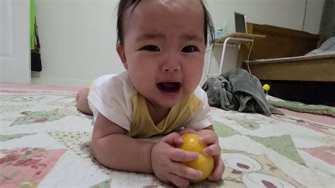 Sub 루다의 재밌는 영상 클립 모음집 👶🏻🍼생후6개월~8개월 Youtube