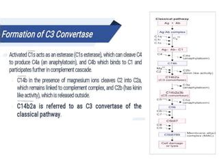 Complement System Microbiology Immune System PPT