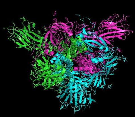 6vsb Spike Glycoprotein Figure 2 Snapshot Of Pymol Window Download Scientific Diagram