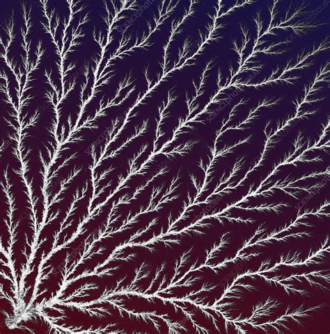 Electron Tree Or Lichtenberg Figure Stock Image C0307483 Science Electron Tree Or Lichtenberg Figure Stock Image C0307483 Science