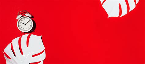 복사 공간 빨간색 배경 위에 흰색 알람 시계와 몬스터 잎 맨 위 보기 플랫 레이 경고 개념을 깨우습니다 아침 루틴 배너 개념에 대한 스톡 사진 및 기타 이미지 Istock