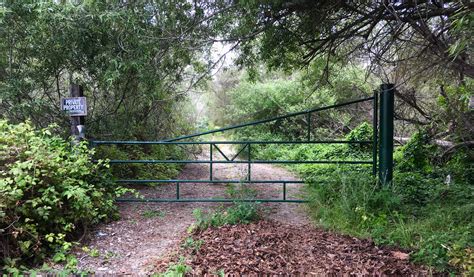 무료 이미지 꼬리 탐험하다 밀림 정원 수로 관목 삼림지 마당 바람직한 길 불쑥 찾아서 투로 농가 칼리