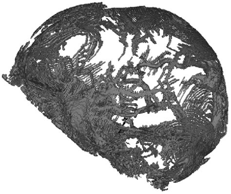4 volumetric representation of mask download scientific diagram