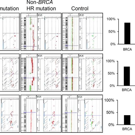 Representative Array Comparative Genomic Hybridization Acgh Profiles Download Scientific