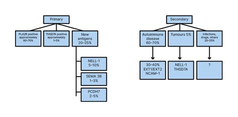 Update On New Antigens In The Pathogenesis Of Membranous Nephropathy