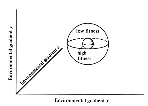 13 The Ecological Niche