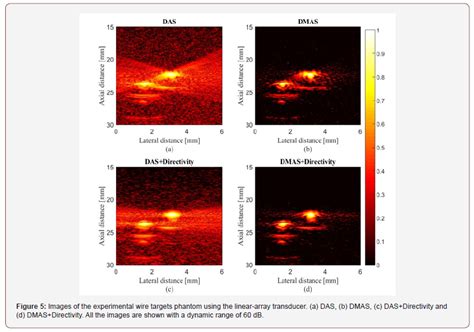 Effects Of Element Directivity In Linear Array Photoacoustic Imaging