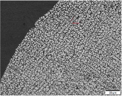 Microstructure Of Etched Particle Observed Under Light Microscope Download Scientific Diagram