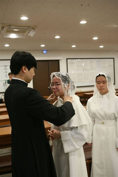 Daum 카페