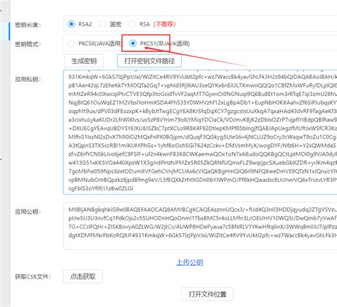 网站接入支付宝面对面支付和手机浏览器wap支付如何设置支付宝appid和支付商户私钥和公钥