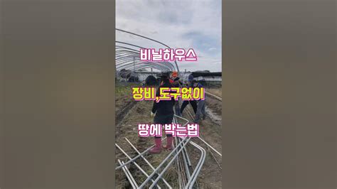 비닐하우스 파이프 박는법 농사 도시농부 시골 청년농부 대저토마토 비닐하우스 비닐하우스짓기 파이프박기 Youtube