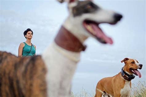 Issue 3136 Magazine Cover Date 29 July 2017 New Scientist