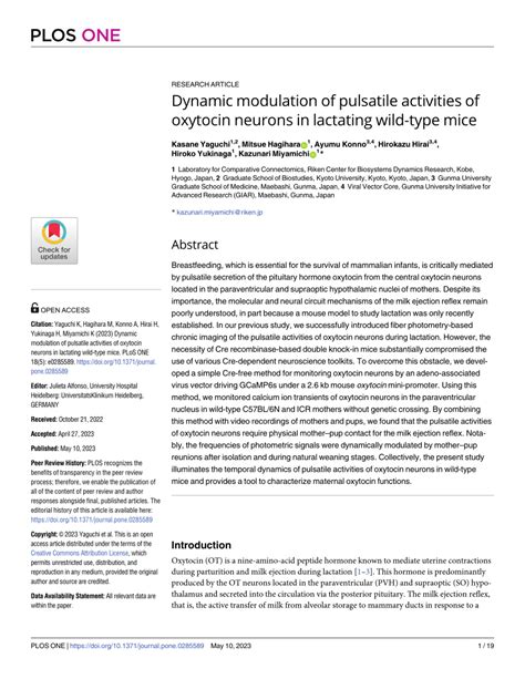 Pdf Dynamic Modulation Of Pulsatile Activities Of Oxytocin Neurons In Lactating Wild Type Mice