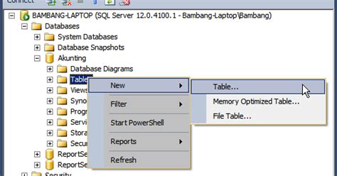 Cara Mudah Membuat Tabel Di SQL Server Management Studio Access Terapan