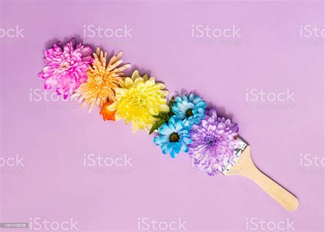 화려한 꽃과 파스텔 보라색 배경에 붓을 칠합니다 창조적 인 자연 개념입니다 최소한의 여름 구성 개념에 대한 스톡 사진 및 기타 이미지 Istock