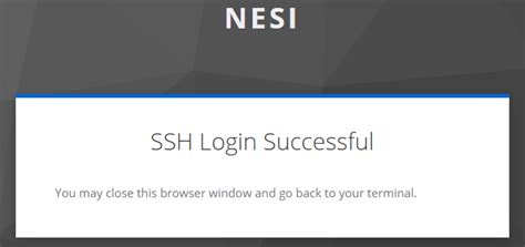 Git Bash Windows Support Documentation
