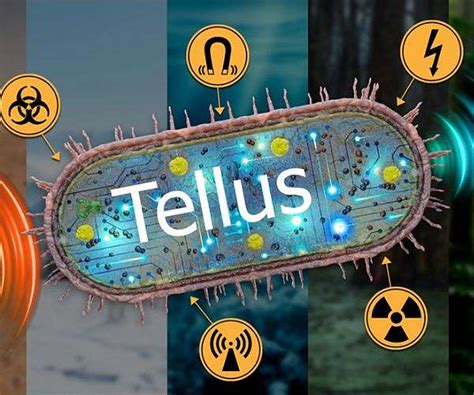 developing agile reliable sensing systems with microbes