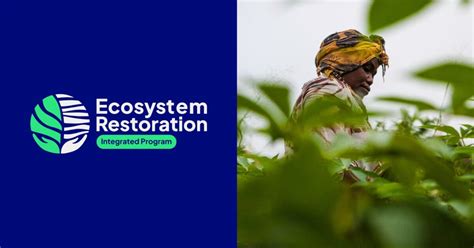 Ecosystem Restoration Ip About Us