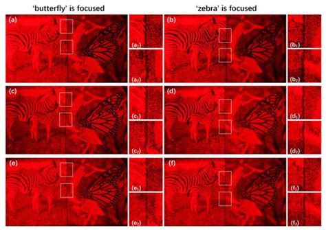 Multi Depth Computer Generated Hologram Based On Stochastic Gradient Descent Algorithm With