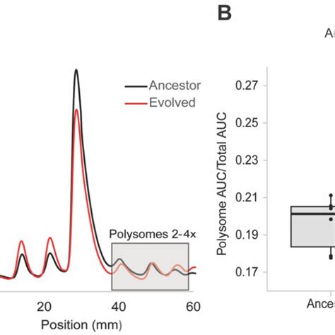 Polysome Profiling Of The Evolved Strain Red Relative To The Ancestor Download Scientific