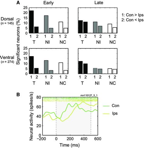 spatial and temporal distribution of visual information coding in lateral prefrontal cortex pmc