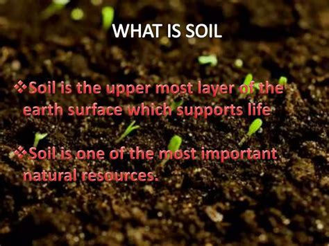 Soil Question And Answers PPT