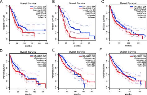 kaplan meier curves showing the prognostic value of lamc2 in the tcga